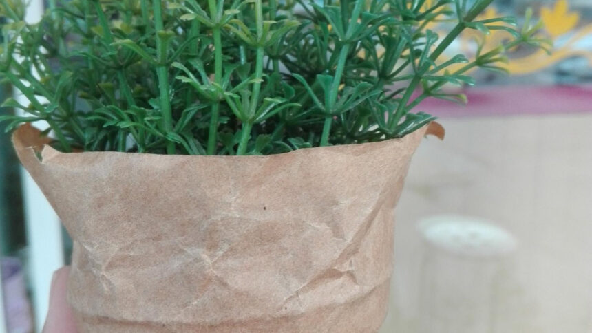 Le sac bac de jardin : une révolution pour cultiver en ville - Le Jardineur